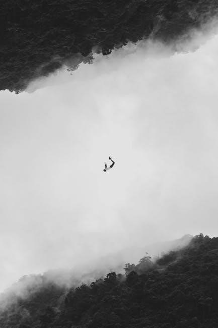 Black & Decker Rice Cooker Plus Manual - Download Now!